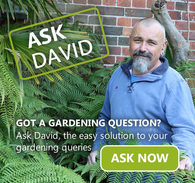 David Hurrion - Gardening Expert, Plantsman & Horticultural Journalist